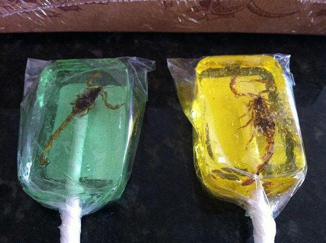 Here's What Different Bugs Actually Taste Like