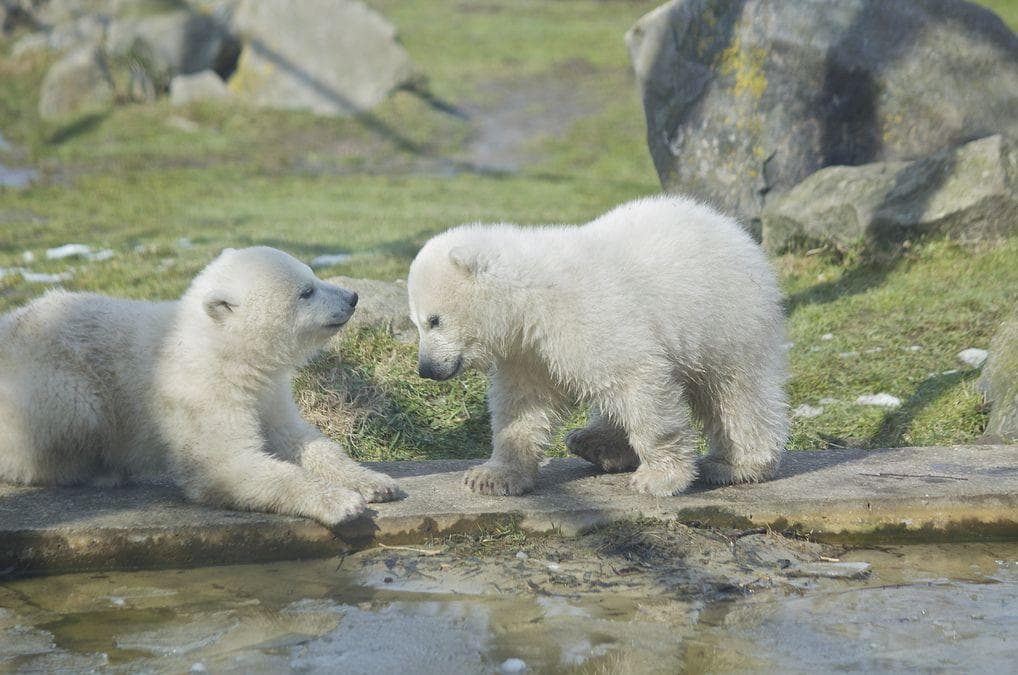 Random Celebrities with Secret Babies | Best Random Tools