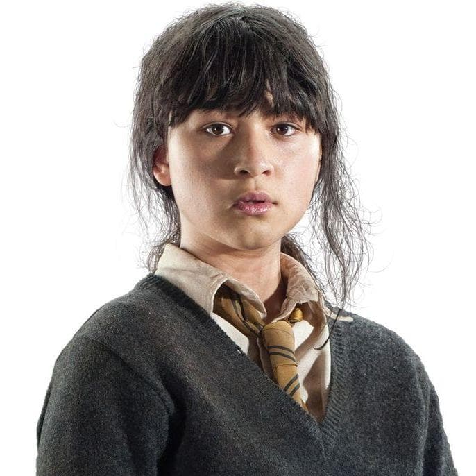 The Best Hufflepuff House Members in the Harry Potter Movies