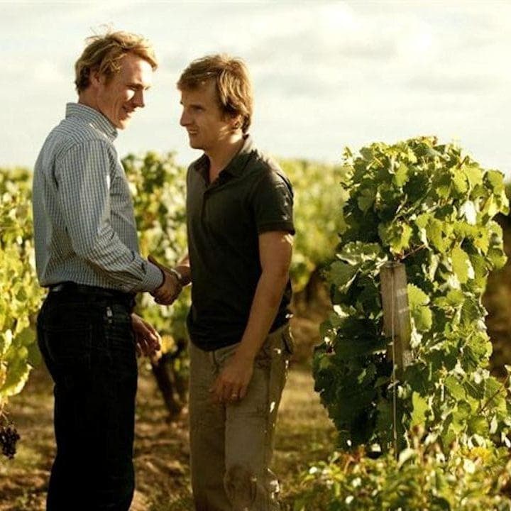 The 12 Best Movies About Wineries & Vineyards, Ranked