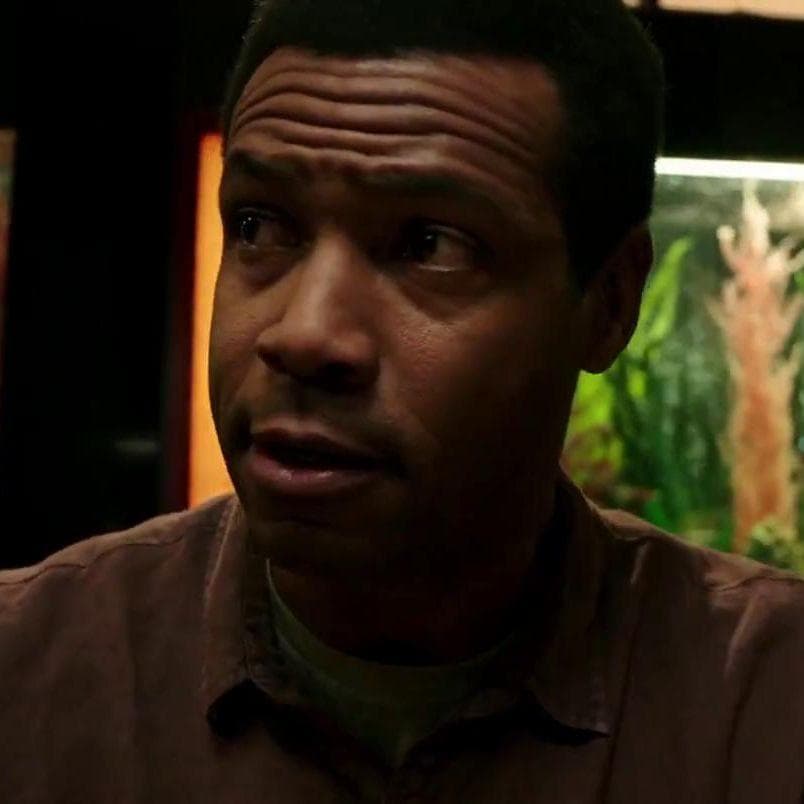 The 21 Hottest Fictional Librarians, Ranked