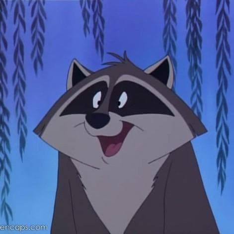 Pocahontas Characters | Cast List of Characters From Pocahontas