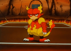 Every Generation 1 Fire Type Pokemon, Ranked by Fans