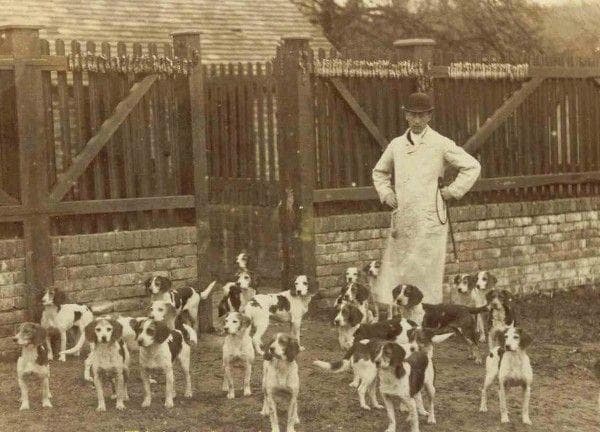 19 Fascinating Photos Of What Dog Breeds Used To Look Like