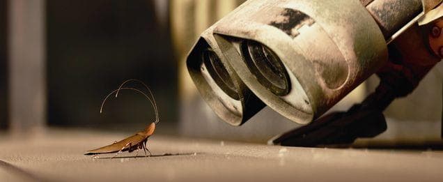 12 Myths About Animals That TV and Movies Taught You