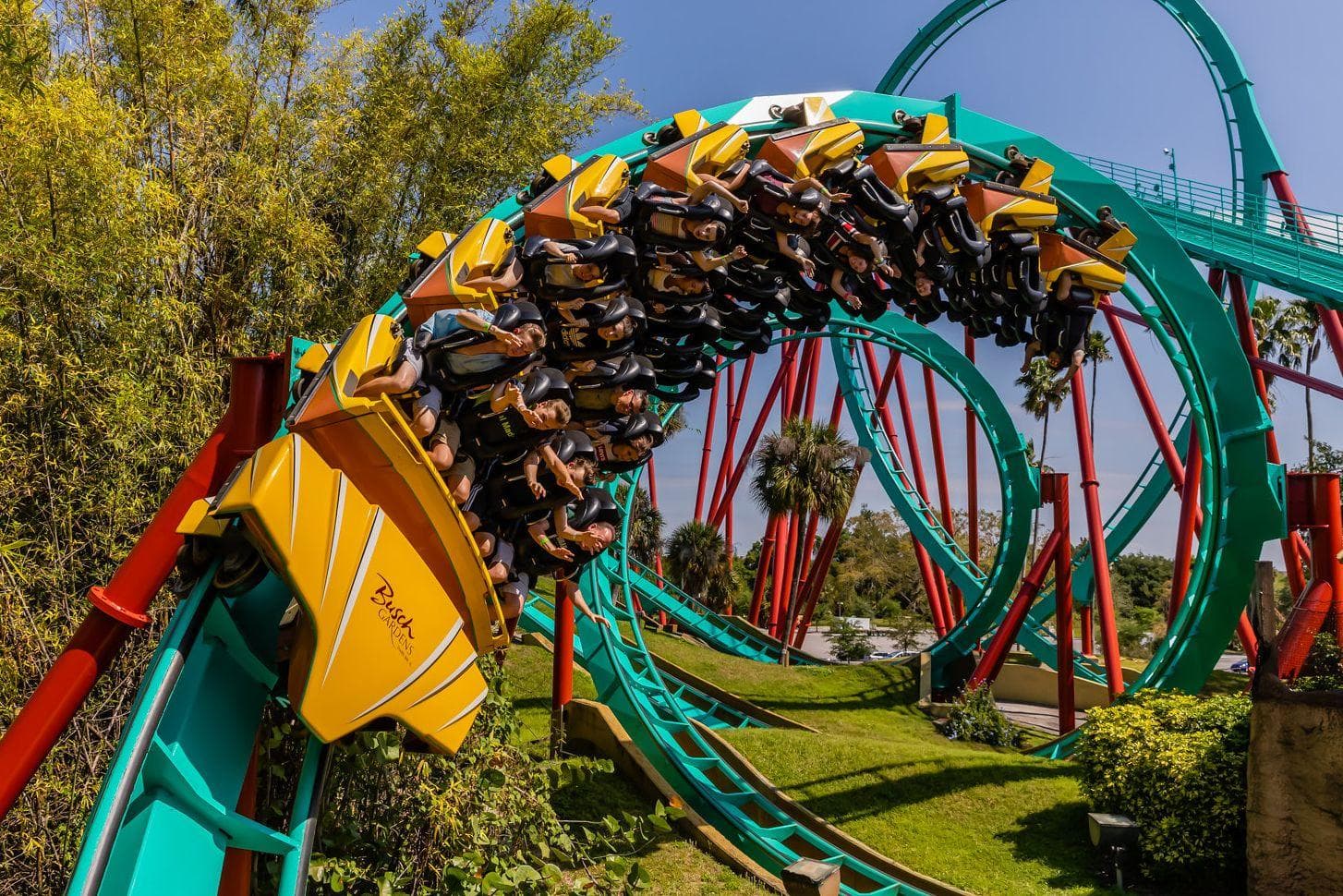 Best Roller Coasters In The World