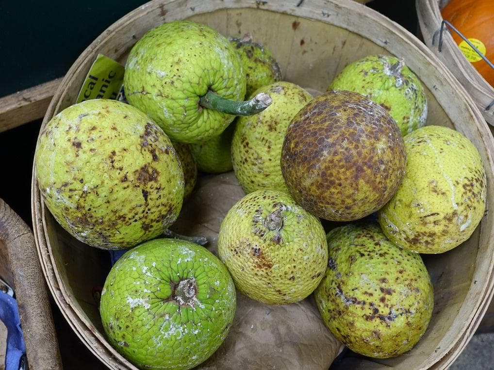 Ranking the 20+ Weirdest Looking Fruit in the World
