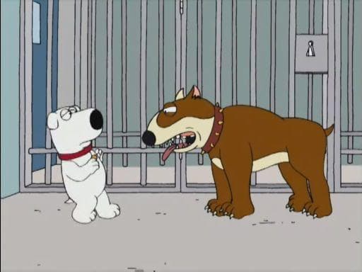 The Best Brian 'Family Guy' Episodes, Ranked By Fans