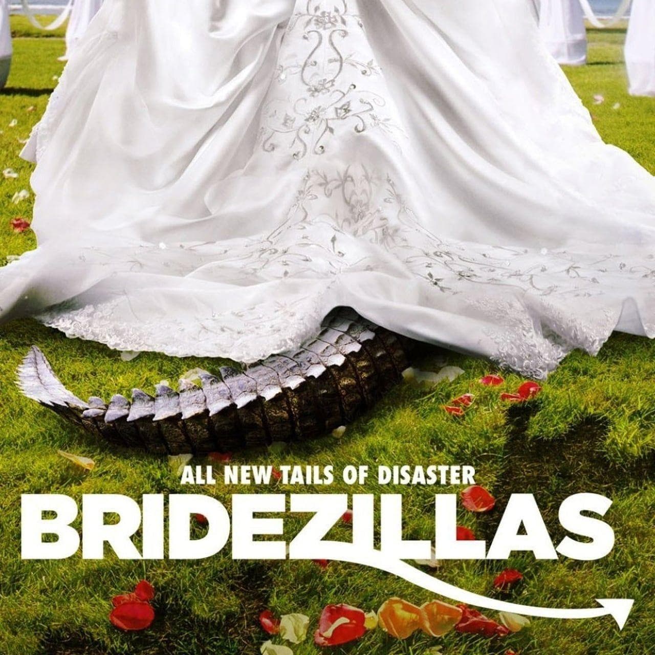 25+ Best Shows & Movies Like '27 Dresses'