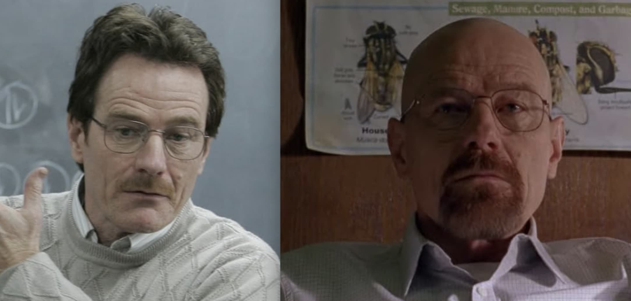 How The Cast Of Breaking Bad Aged From The First To Last Season