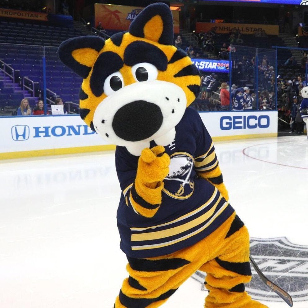 All 30 NHL Mascots, Ranked By Hockey Fans