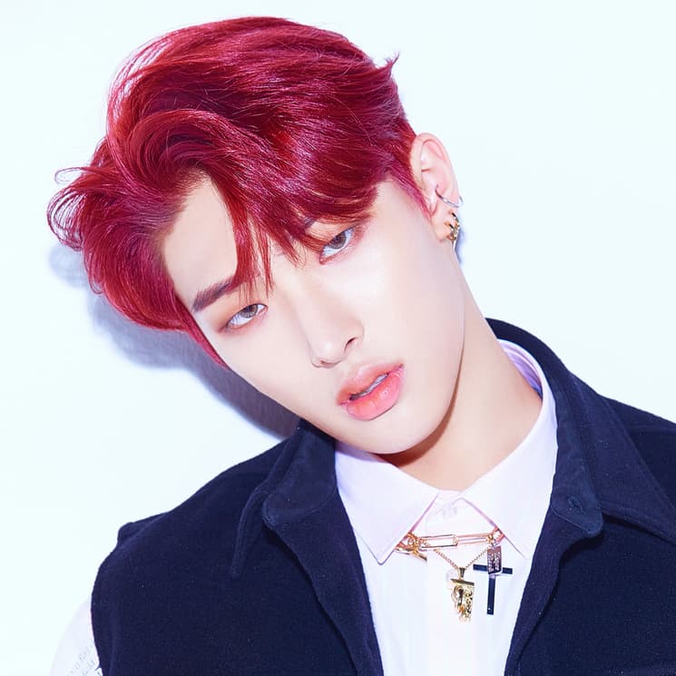 The 15+ Best K-pop Idols With Red Hair, Ranked By Fans