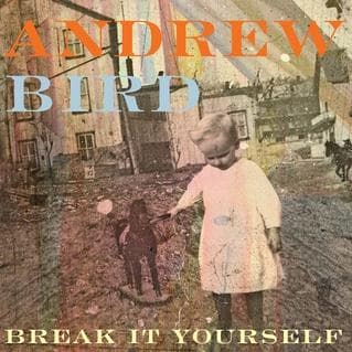 The Best Andrew Bird Albums, Ranked By Fans