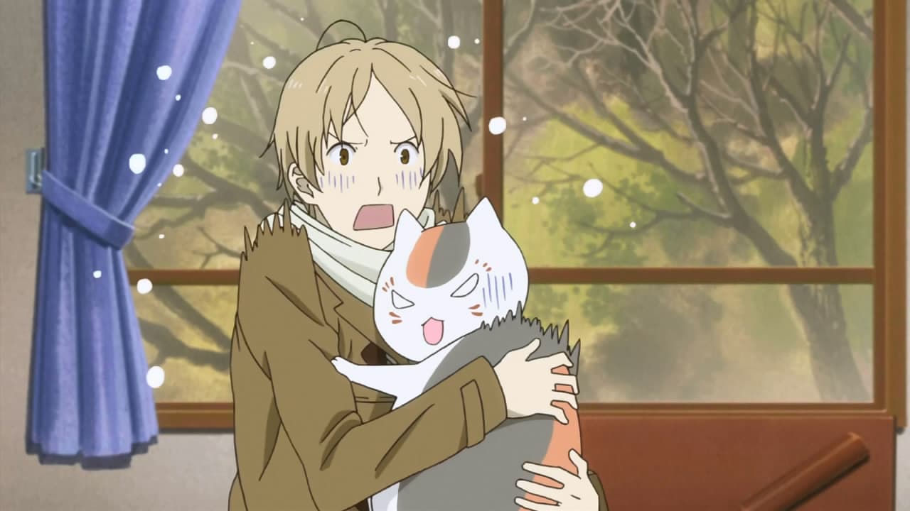 The 13 Best Anime For Cat Lovers, Ranked By Fans