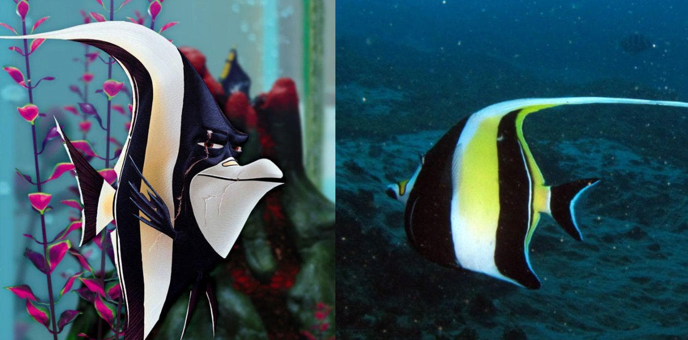 What The Species In 'Finding Dory' Look Like In Real Life