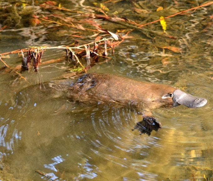 Facts That Sound Too Weird To Be True - But Are