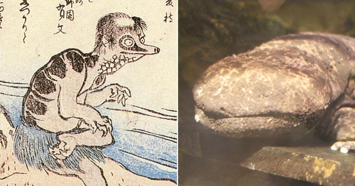 Animals Mistaken For Mythical Creatures