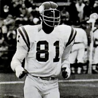 The Best Athletes Who Wore Number 81, Ranked By Fans