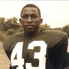 The Best Athletes Who Wore Number 43, Ranked By Fans