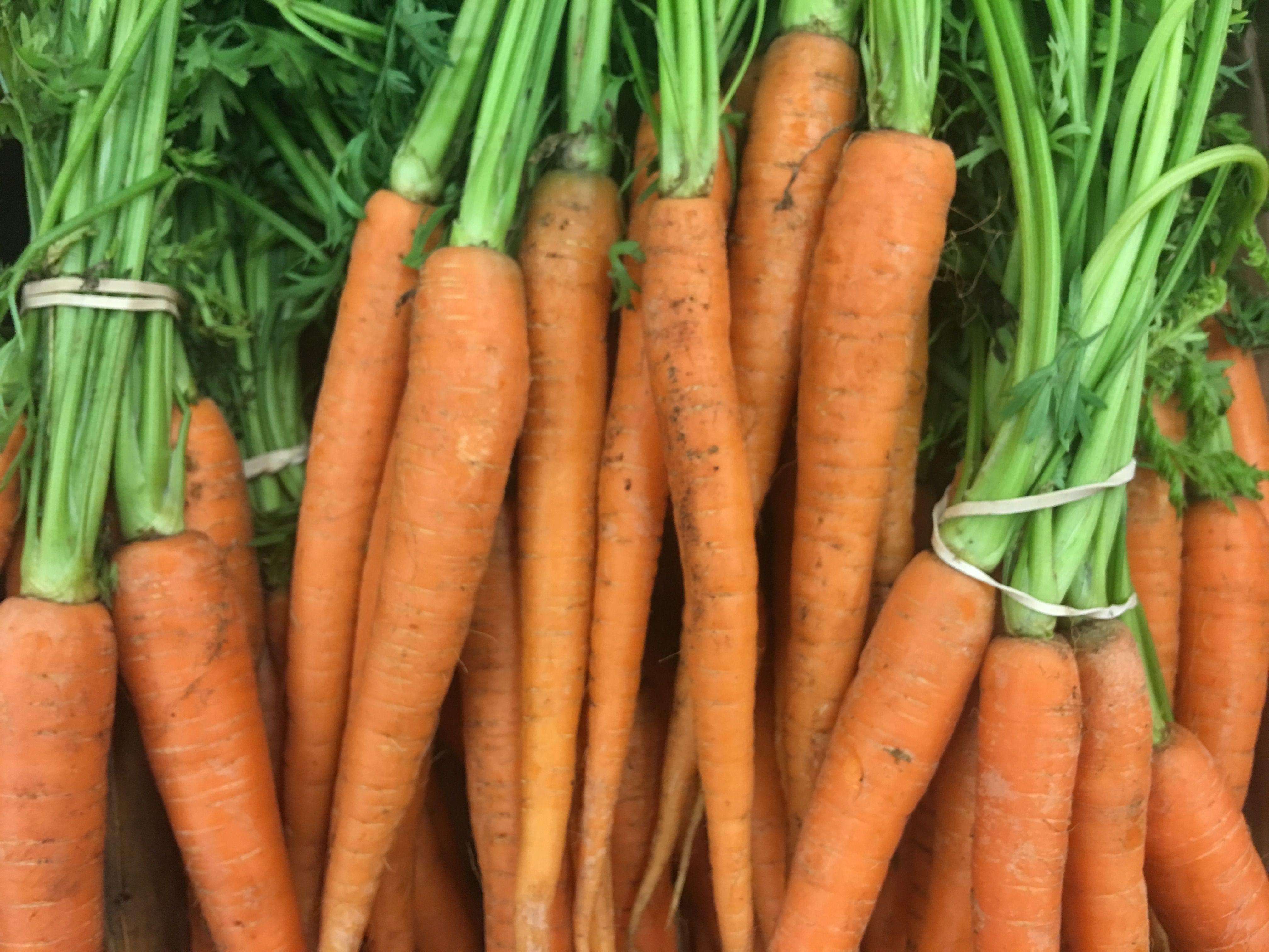 Things We Believed About Food That Are Wrong