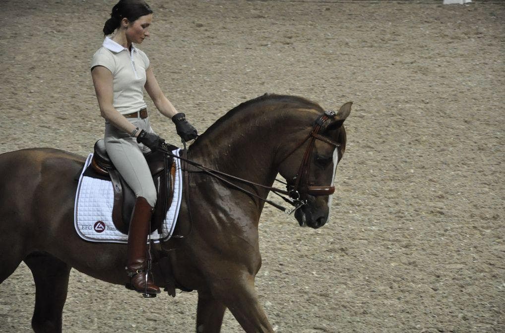 List of 60+ Famous Female Equestrians