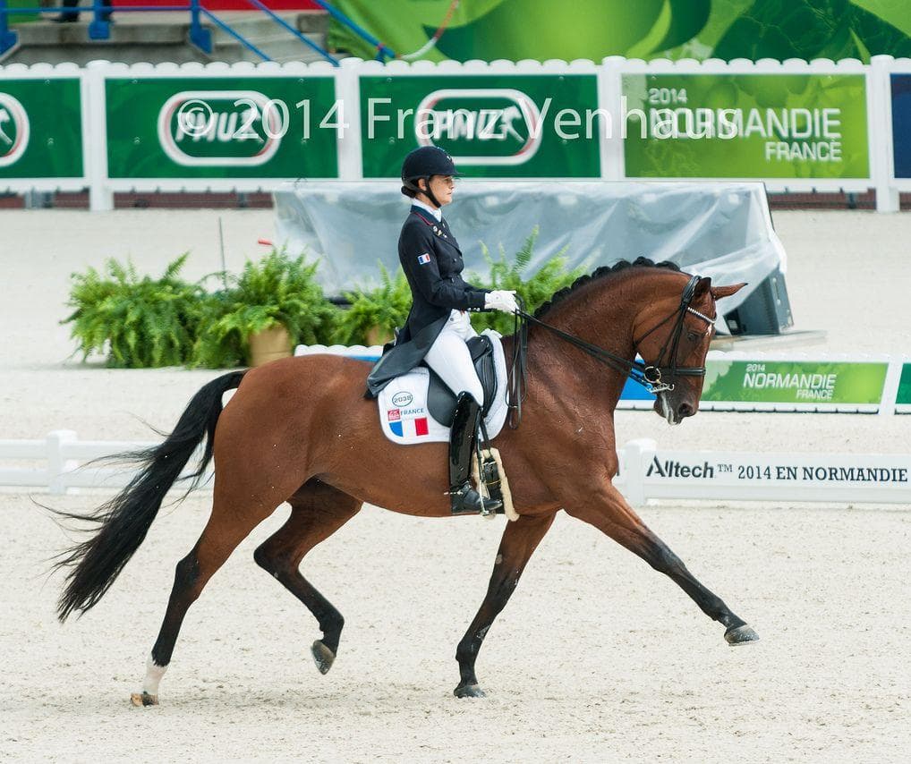 List of 60+ Famous Female Equestrians