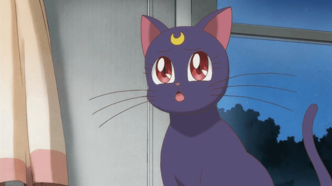 Sailor moon zodiac signs taurus 60 photos - Astrologytoyou.com