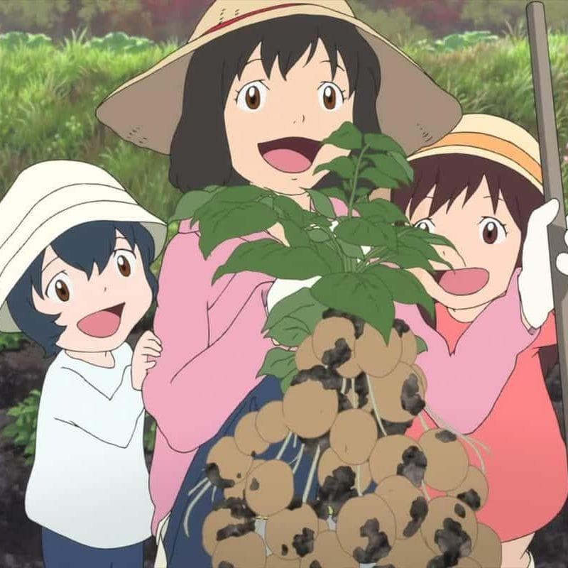 The 12 Best Anime About Farming, Ranked By Fans