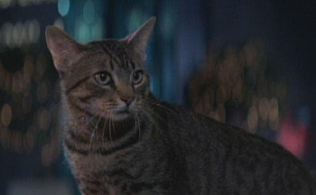 The Best Final Pets That Make It Through Horror Movies