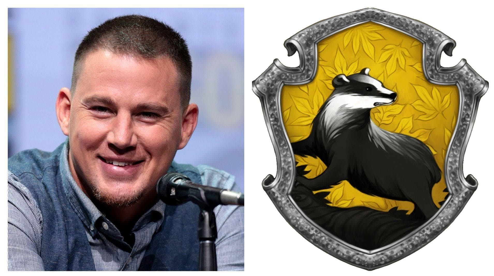 Which Hogwarts Houses Would Celebrities Be Sorted Into?