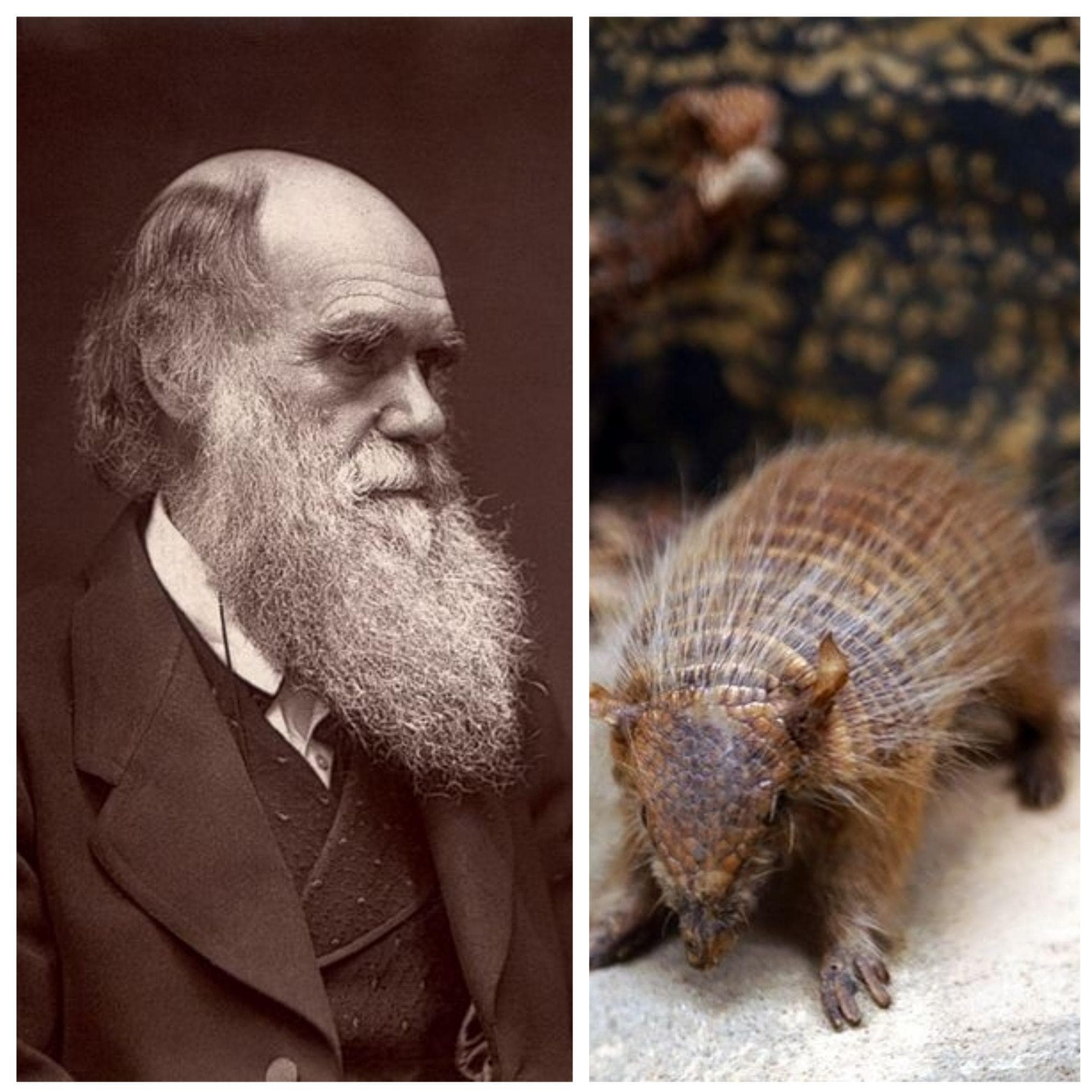 The Favorite Foods Of 15 Historical Figures