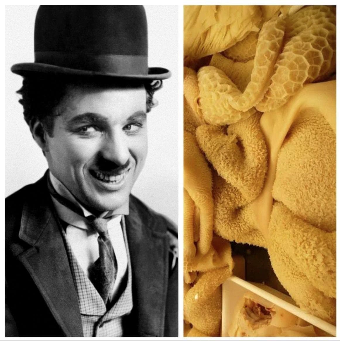 The Favorite Foods Of 15 Historical Figures