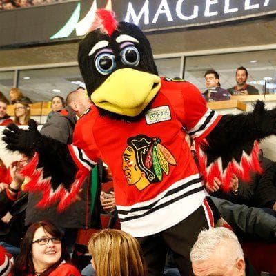 All 30 NHL Mascots, Ranked By Hockey Fans