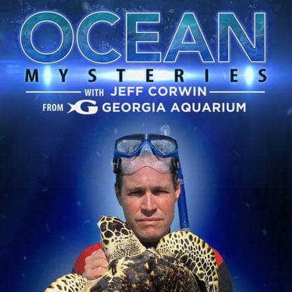 The 30 Best Underwater & Deep Sea Documentaries, Ranked By Fans