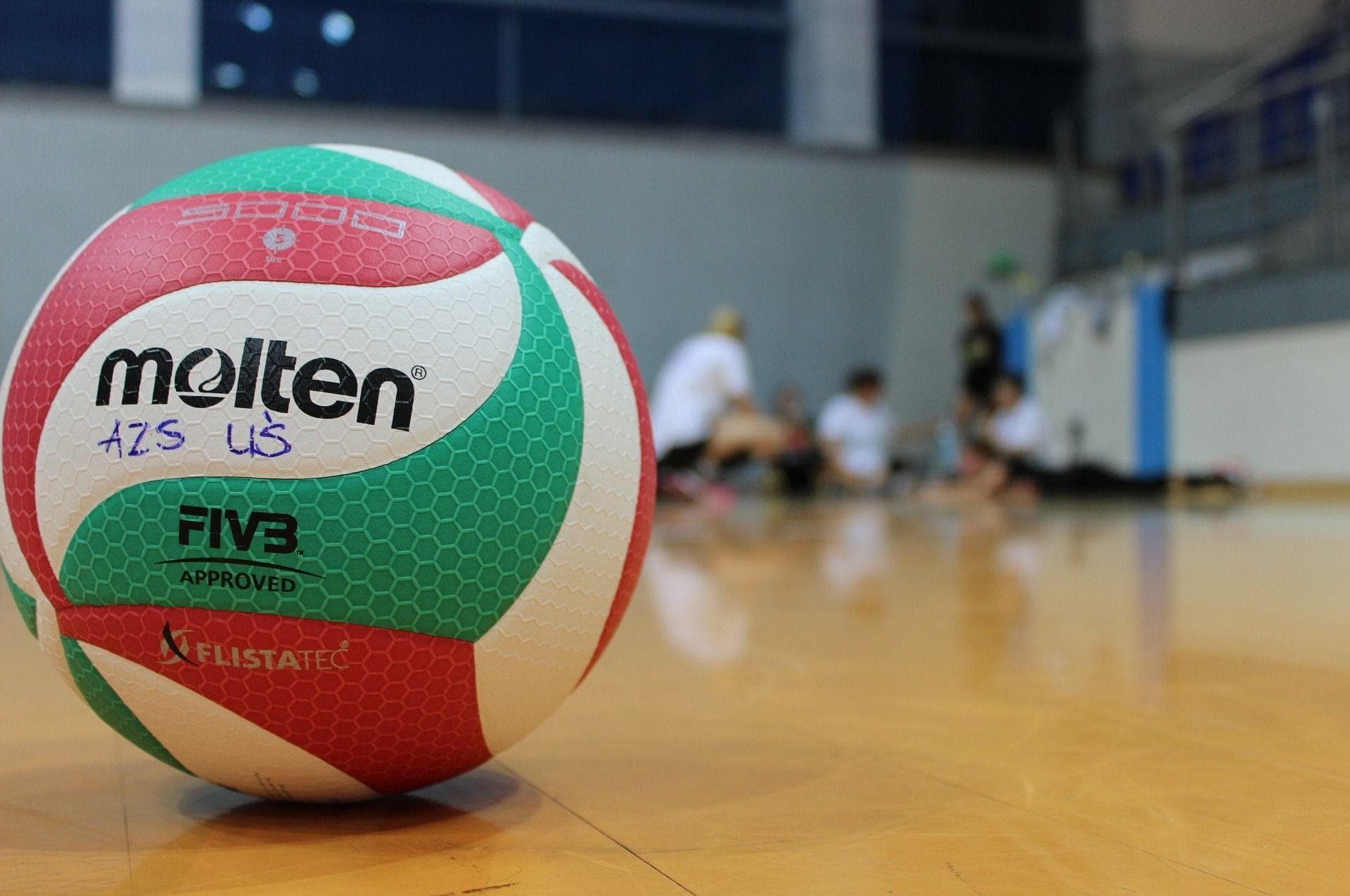 Famous Female Volleyball Players | List of Top Female Volleyball Players