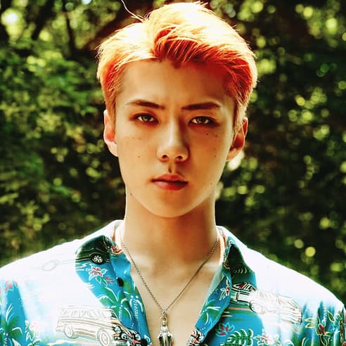 The 15+ Best K-pop Idols With Orange Hair, Ranked By Fans