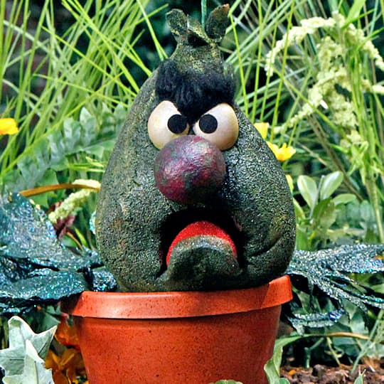 65+ Sesame Street Characters With Names