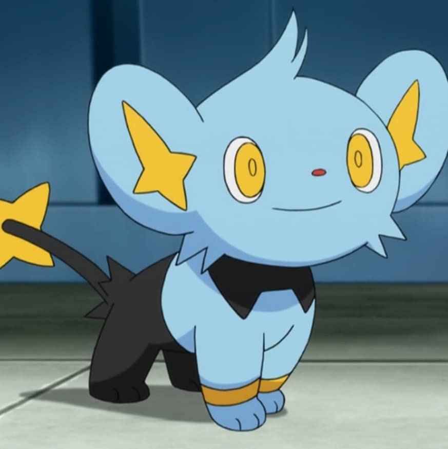 The 20 Cutest Electric Pokemon, Ranked By Fans