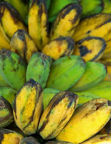 Banana Facts: 10 Most Amazing Facts About Bananas