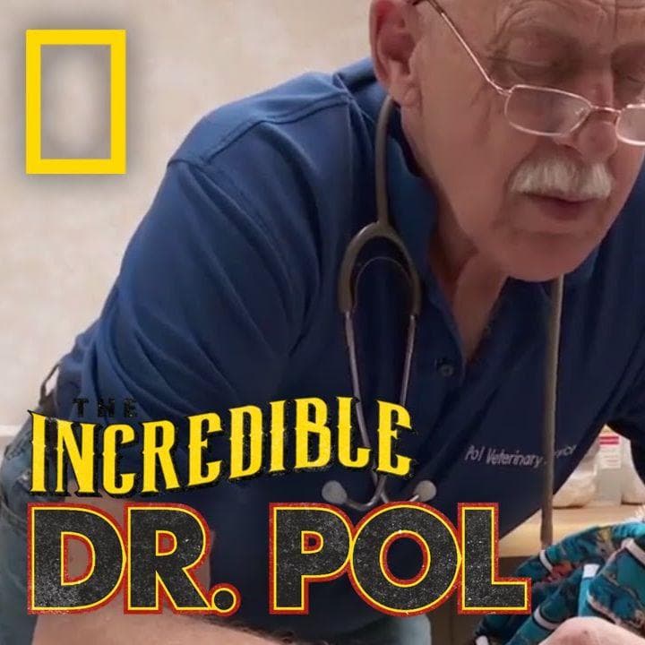 The Best National Geographic Channel Shows Of All Time