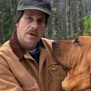 Actors in the Most Christopher Guest Movies