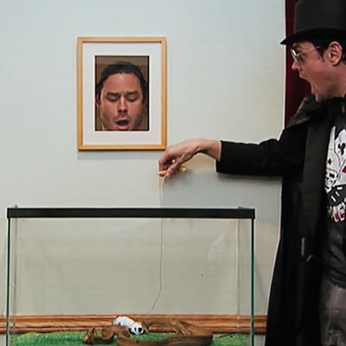 Every 'Jackass' Member Ranked Best to Worst By Fans