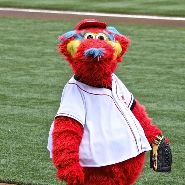 Best MLB Mascots | All Current Baseball Mascots, Ranked
