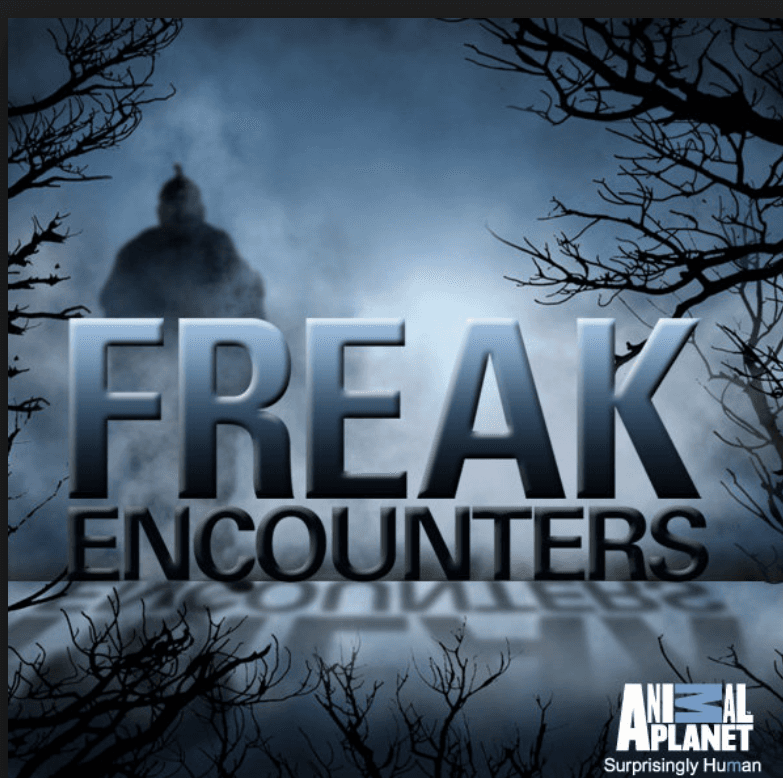 The 25+ Best Cryptid & Monster TV Shows, Ranked by Fans