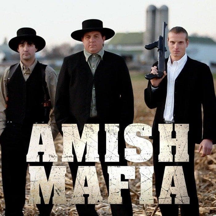 The 12 Best TV Shows About The Amish