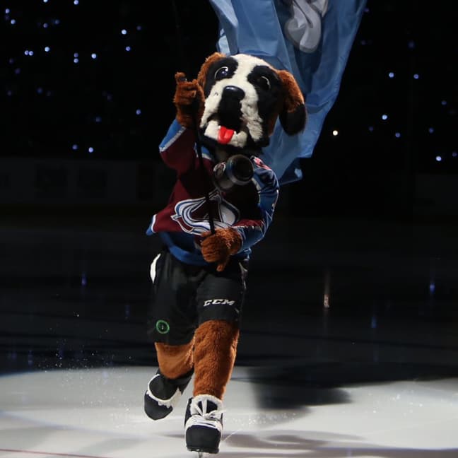 All 30 NHL Mascots, Ranked By Hockey Fans