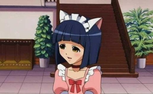 The 20+ Best Anime Catgirls Of All Time