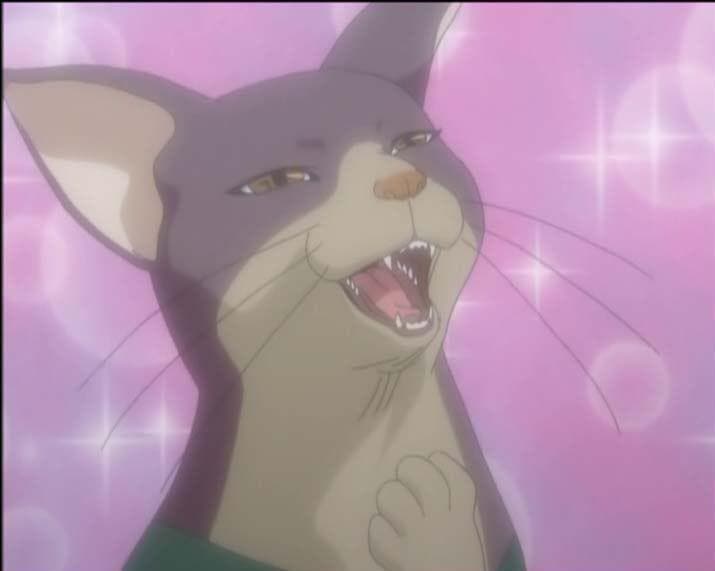 The 15 Greatest Anime Cats You Desperately Want To Pet