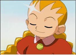 MegaMan NT Warrior Characters List w/ Photos