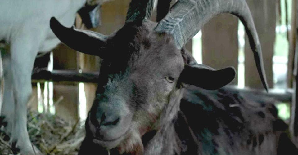 Demons: The Movies Versus The Myths